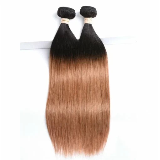 Delightful 3 Bundles Pre-Colored Ombre Human Hair Straight Extensions ...